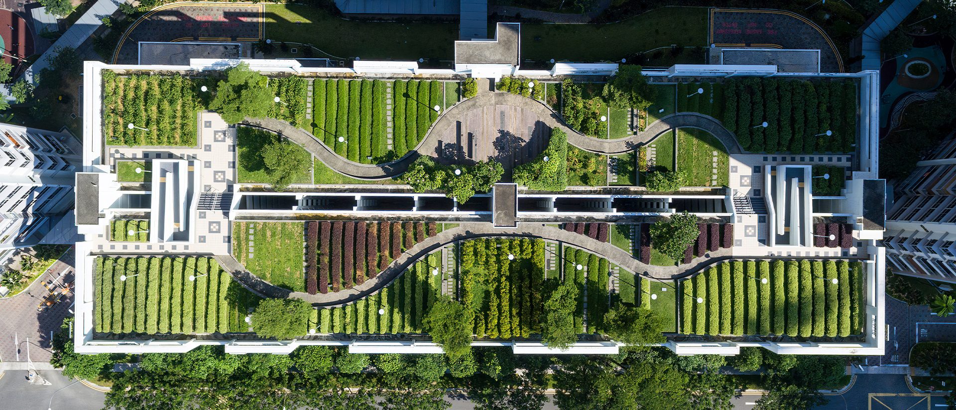 On the Scene: Urban Farming & Edible Gardens in Singapore | Lufthansa