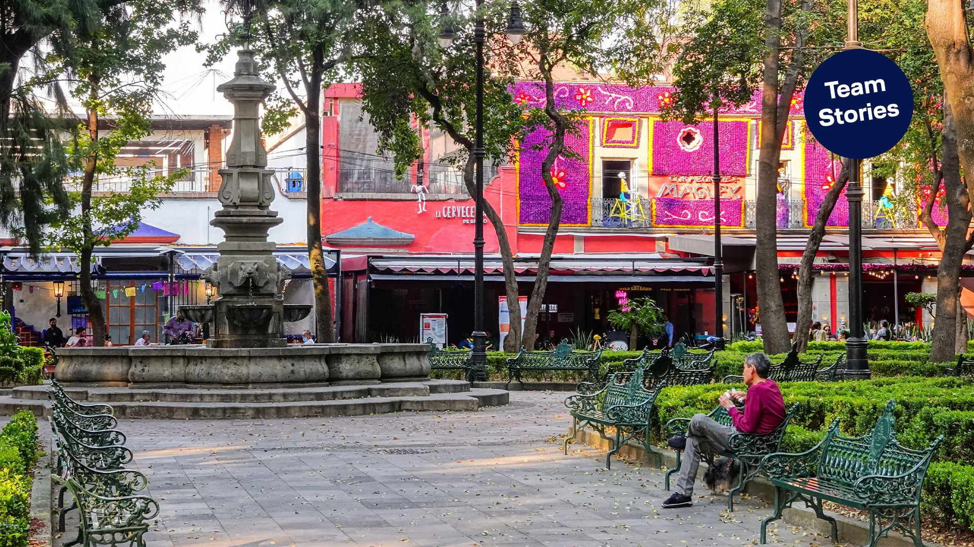 In My Hood: Out and About in Coyoacán, Mexico City | Lufthansa