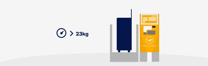 Excess baggage | Lufthansa