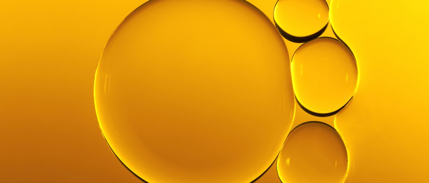 UN Climate Change Conference 2023 | Lufthansa