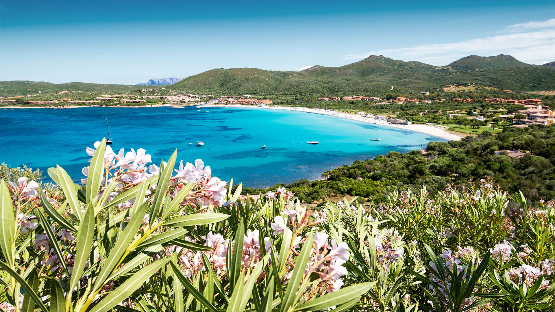 Activities in Olbia: Between the Old Town, Tavolara, and Culinary ...