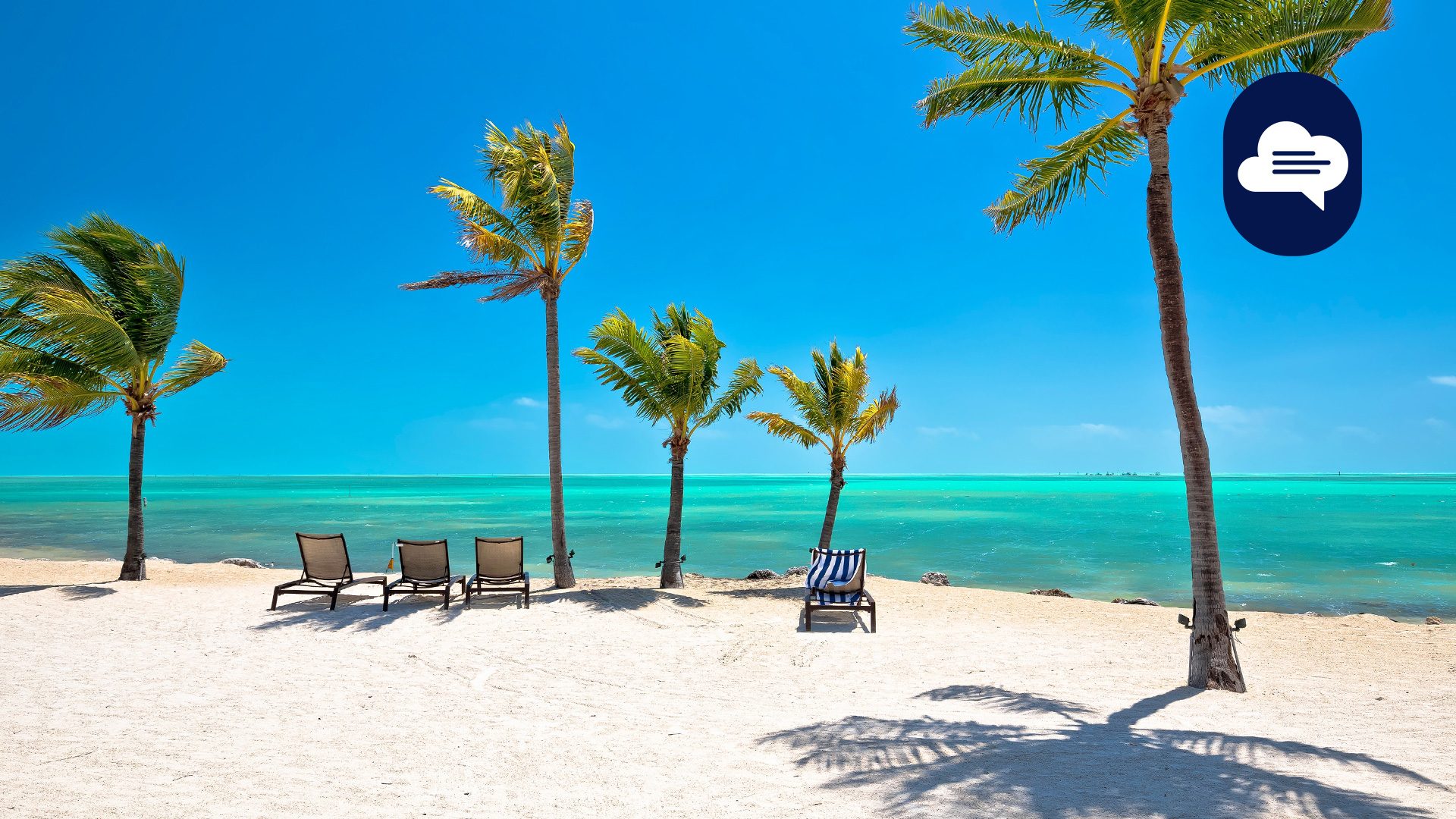 Be Picky: Insider Tips for Miami | Lufthansa